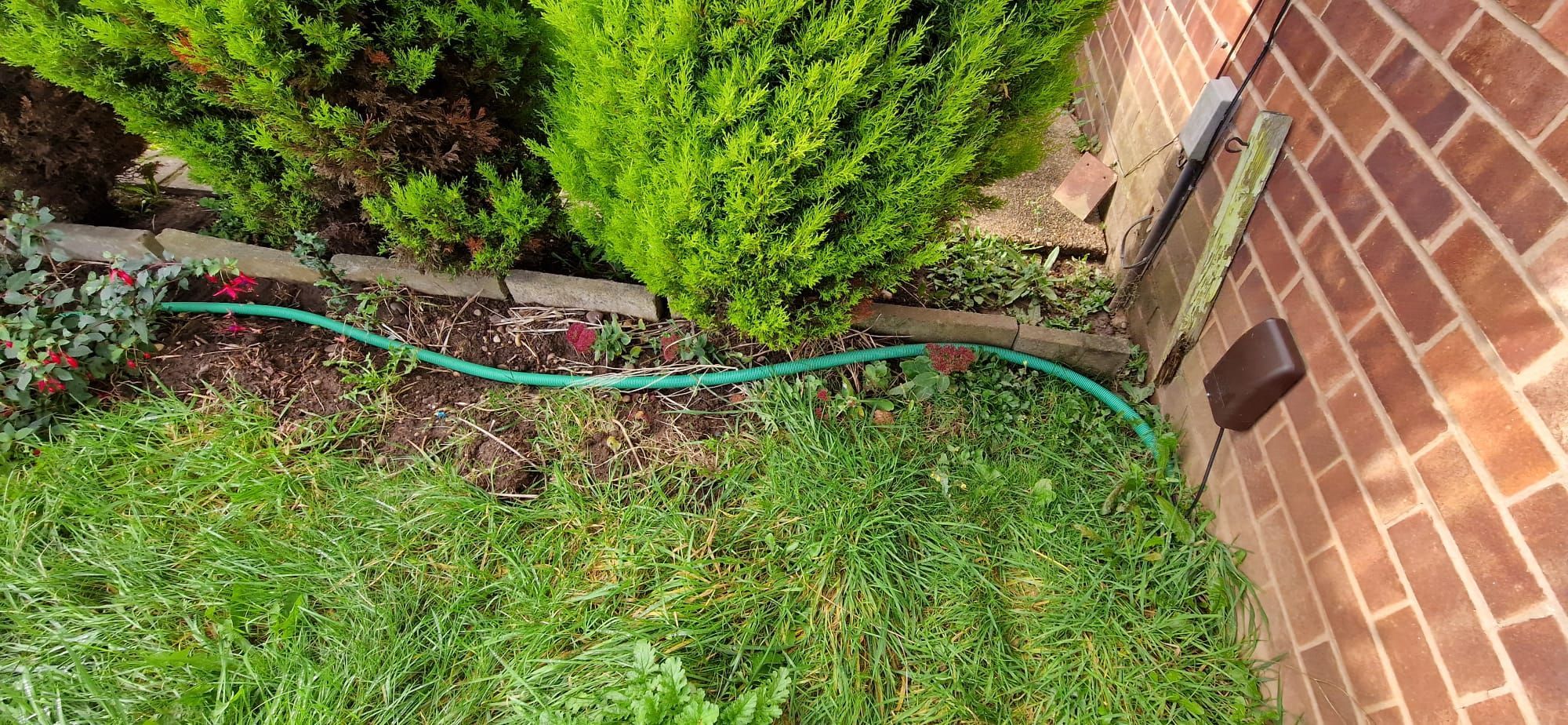 Virgin Media Cable simply 'dropped' in my front Garden | Virgin Media ...